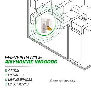 Tomcat Rodent Repeller Essential Oil Refill Pack Plug-In with Lemongrass, Cinnamon, and Peppermint Oil, 2 Refill Bottles