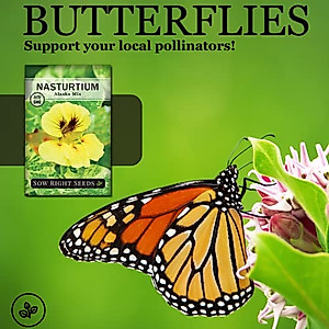 Sow Right Seeds - Alaska Nasturtium Seeds to Plant - Full Instructions for Planting and Growing a Beautiful Flower Garden; Non-GMO Heirloom Seeds; Wonderful Gardening Gift (1)