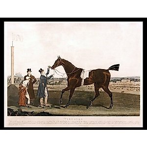 Tiresias Was bred by His Grace the Duke of Portland in 1816 was got by Soothsayer out of Sledge. At Epsom he won the Derby Stakes beating 15 others among whom were Sultan, Euphrates, The Dominic, c