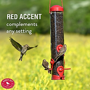 Perky-Pet 3264 Red Wild Bird and Finch Feeder