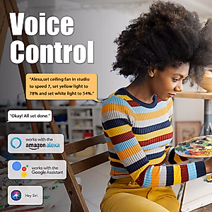 CEME 52" Black Smart Flush Mount Ceiling Fan with Lights, 10 Speeds, 3 Dimmable Light Colors, Alexa & Siri Compatible