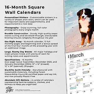 The Beauty of Bernese Mountain Dogs | 2024 12 x 24 Inch Monthly Square Wall Calendar | Sticker Sheet | StarGifts | Animals Breeds