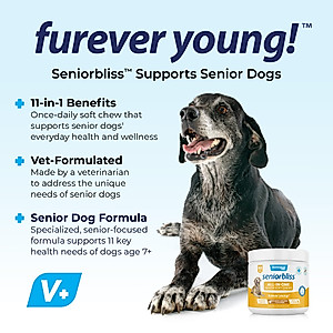 Vetnique Seniorbliss Senior Dog Multivitamin with Glucosamine, Omega 3 Fish Oil, and Probiotics - for Dog Joints, Digestive and Immune Support for Optimal Health (All-in-One Daily Vitamin, 60ct)