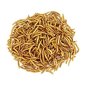 Hana Panda 100% Natural Dried mealworms High Protein Mealworms for Wild Birds, Chicken Treats, Fish & Reptiles,Hamsters and Hedgehogs All Natural Animal Feed