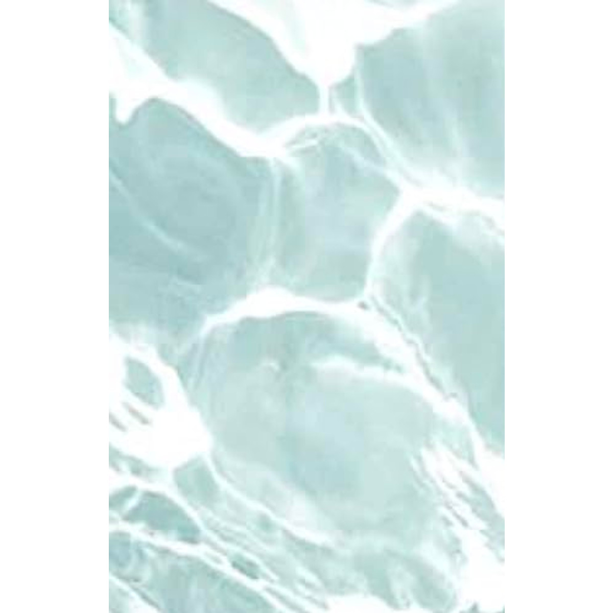 I am BLESSED Eau de Parfum - Clean Naturally Scented Womens Perfumes - An Inspiring Blend of Floral Jasmine, Bergamot, Amber, Lemon Citrus, Neroli, Vanilla, and Mandarin Orange (1.7 oz Spray Bottle)