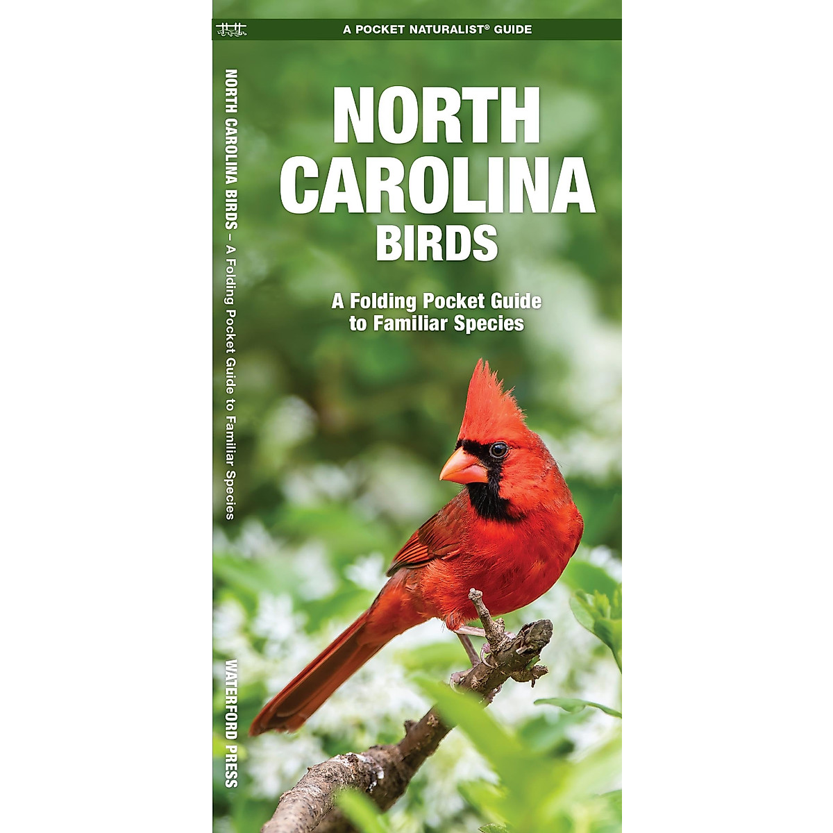 North Carolina Birds: A Folding Pocket Guide to Familiar Species (Nature Observation North America)
