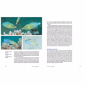 The World Beneath: The Life and Times of Unknown Sea Creatures and Coral Reefs