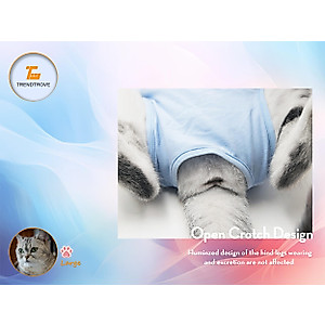 2PCS Cat Cone Collar and Cat Recovery Suit, Anti-Bite, Stop Licking Wounds, Adjustable Soft Elizabethan Cone, Cat Onesie for Female Cat After Surgery