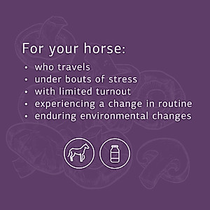 Standard Process Equine Immune Support - Whole Food Horse Supplies for Immune Support with Whey Protein, Magnesium Citrate, Kale, Sunflower Lecithin, L-Glutamine, Turmeric Root - 30 Ounce