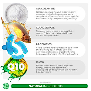 10 in 1 Multivitamin for Dogs - 90 Soft Chews - Hip and Joint Support with Glucosamine and Chondroitin - Cod Liver Oil & Vitamins with Coq10 for Skin & Heart Health, Gut & Immune Support