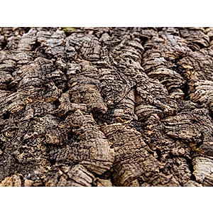 Josh's Frogs Natural Virgin Cork Sheet Terrarium Background (~23.6x17.7")