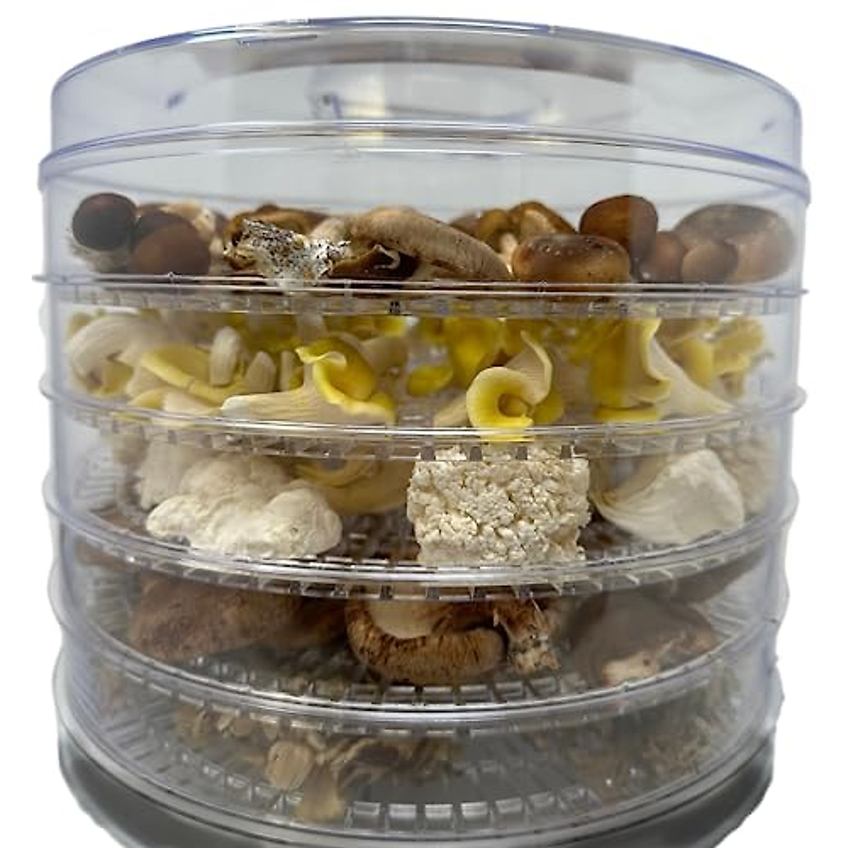 Myco Labs 350 Watt Mushroom Dehydrator with Adjustable Temperature Control and Extra Tall Trays