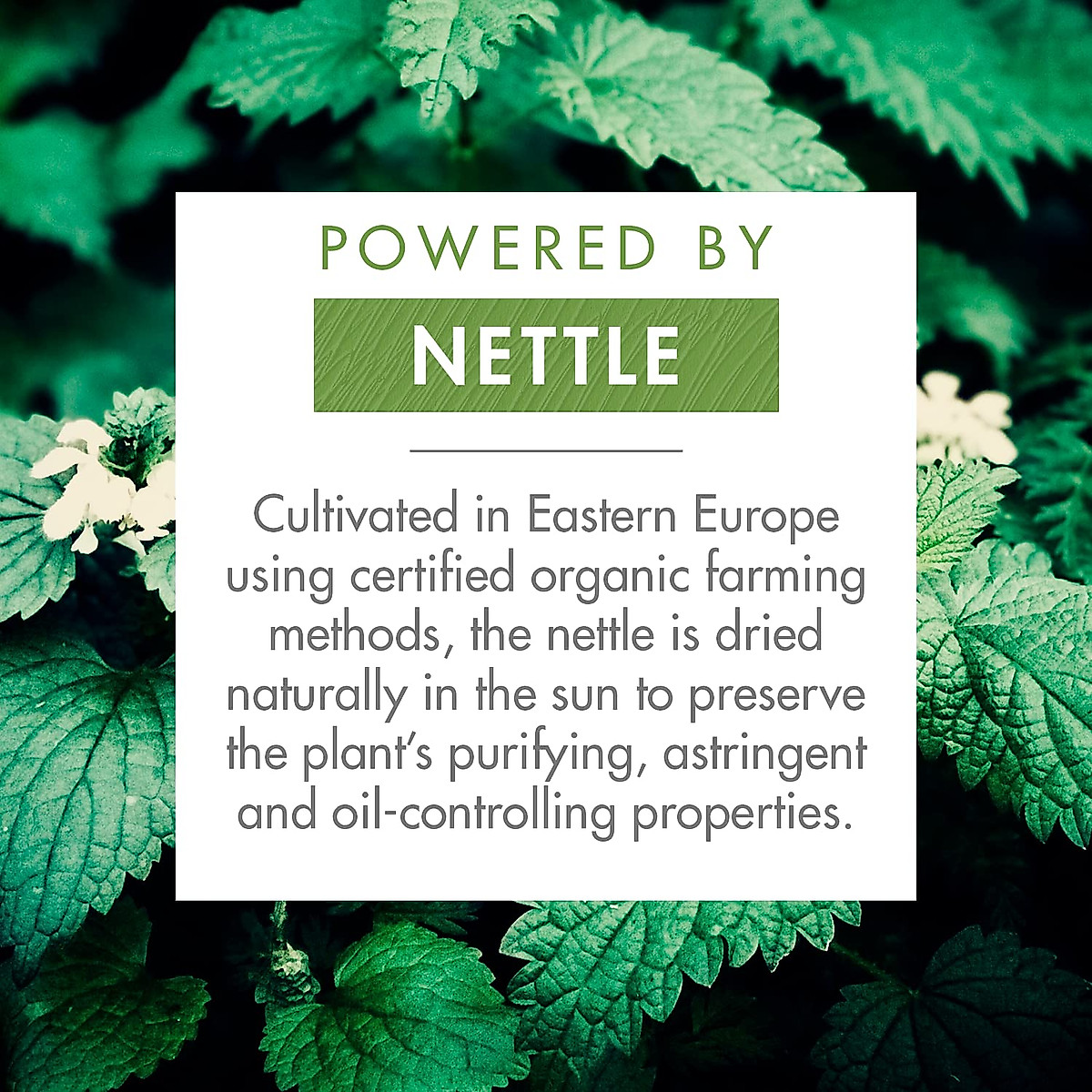 Klorane Dry Shampoo with Nettle for Oily Hair and Scalp, Regulates Oil Production, Paraben & Sulfate-Free, 3.2 oz.