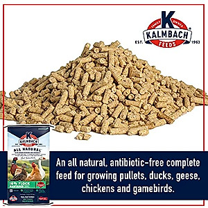 16% Flock Maintainer Pelleted Feed for Mixed Flocks of Poultry, 50 lb Bag