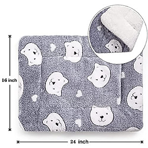 REDDOUDOU Newborn Puppy and Kitten Incubator, Pet Incubator with Pet Heating Lamp, Temperature and Humidity Detection and Cotton Pad 85L