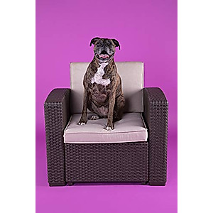 Flash Furniture Chocolate Brown Faux Rattan Chair with All-Weather Beige Cushion