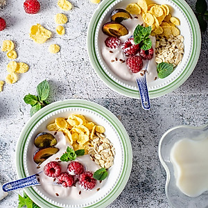 Patelai 10 Pieces Ceramic Soup Spoons Asian Soup Spoons Chinese Style Blue and White Porcelain Soup Spoons Reusable Table Spoons Dinner Spoons for Ramen Pho Wonton Dumpling