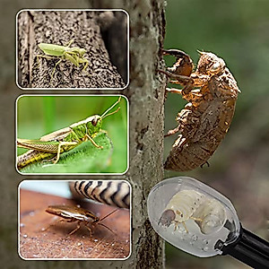 2Pcs Stainless Reptile Feeding Tongs and Feeding Clamp for Fish Aquariums, Reptiles Snakes Lizard Gecko Spider and Bird (Black)