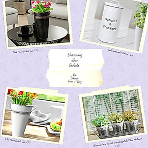 Dakneys Home & Living Stainless Steel Dinner Plates, Set of 4, 10-inch, Metal Plates for Eating, Camping, Adults and Kids,18/8 (304), Brushed (Matte Surface), Lightweight, Easy to Clean