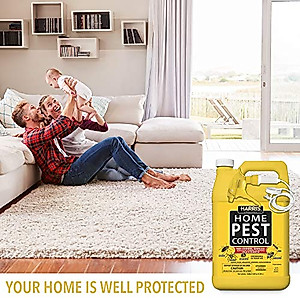 Harris Home Insect Killer, Liquid Gallon Spray with Odorless and Non Staining Residual Formula - Kills Ants, Roaches, Spiders, Fleas, Mosquitos, Moths, Scorpions, Flies and Silverfish