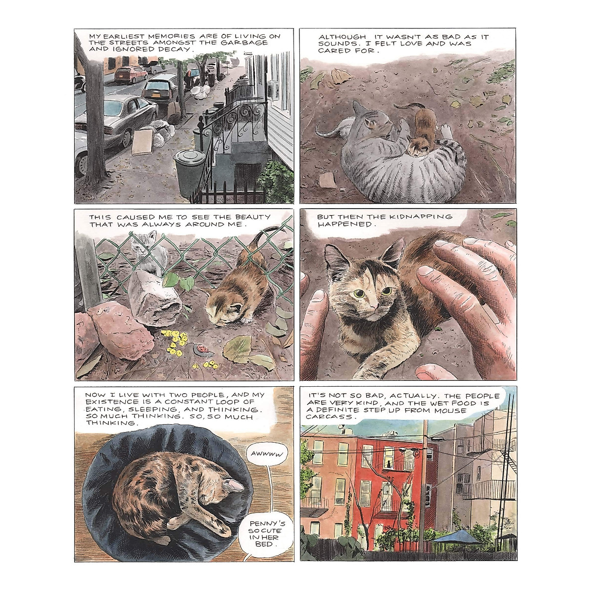 Penny: A Graphic Memoir