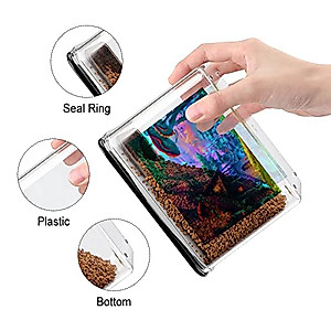 Trippy Light Mushroom Storage Box Plastic Food Organizer Container Canisters with Lid for Kitchen