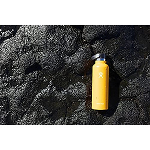 Hydro Flask Standard Mouth Bottle with Flex Cap