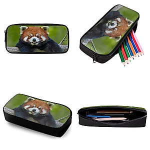 AmzPrint Carry On Lightweight 3 In 1 Cute Red Panda Backpack With Lunch Box For Elementary Middle School Kids Boys Girl