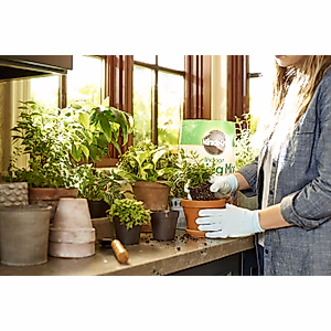 Miracle-Gro Indoor Potting Mix, Indoor Plant Food & Leaf Shine - Bundle of Potting Soil (6 qt.), Liquid Plant Food (8 oz.) & Leaf Shine (8 oz.) for Growing, Fertilizing & Cleaning Houseplants