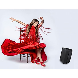 Pro DG i 603 A (600 Watts) Professional Compact All-in-One Battery-Powered System with Bluetooth (6 Hours) - (Made in Spain)