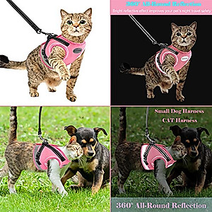 Cat Harness and Leash for Walking, Kitten Escape Proof Harnesses, Adjustable Reflective Puppy Vest Harness with Leashes Set, Easy Adjustable Soft net Breathable Pet Safety Jacket