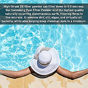 EasyGo Product Celatom Diatomaceous Earth DE Pool Filter Aid – Swimming Pool & Spa Filtration – - 25 Pounds