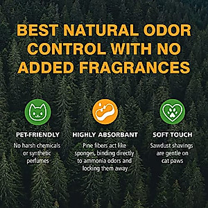 Feline Pine Platinum Non-Clumping Cat Litter 18lb.