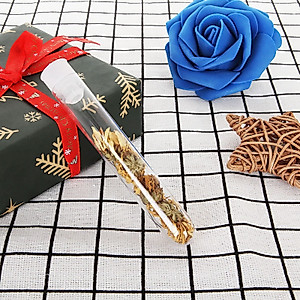 120Pcs Plastic Test Tubes with Lids and Rack, 16x100mm(10ml) Test Tubes with Cap and Holder Rack, Test Lab Tube for Scientific Experiments, Candy, Beads, Liquid Storage, Party Decor