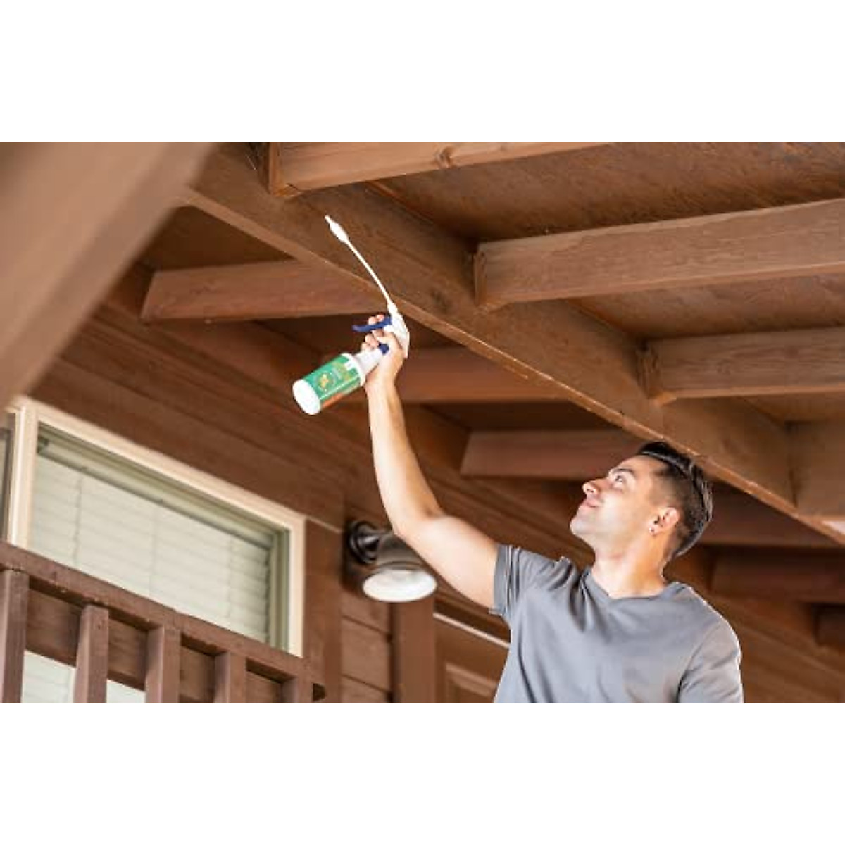 Donaldson Farms Carpenter Bee Killer Spray for Insects All Natural Foaming Spray, 16 oz