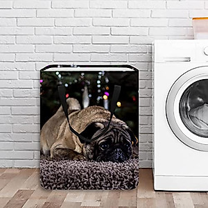 Pug Dog Print Collapsible Laundry Hamper, 60L Waterproof Laundry Baskets Washing Bin Clothes Toys Storage for Dorm Bathroom Bedroom