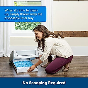 PetSafe ScoopFree Crystal Litter Tray Refills, Premium Blue Crystals, 3-Pack, Disposable Tray, Includes Leak Protection & Low Tracking Litter, Absorbs Odors On Contact