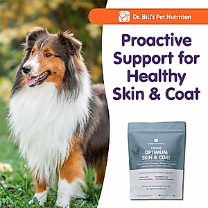 Dr. Bill’s Canine Optimum Skin & Coat (680g) – Fish Oil Omega-3 Fatty Acids Dog Supplement with Biotin, Type I & III Marine Collagen, Hyaluronic Acid & Folic Acid