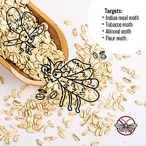 Pantry Moth Glue Traps for House Pantry, Pantry Moth Traps for Food and Cupboard Moths, Pantry Moth Trap 4-Pack, Pantry Moth Traps with Pheromones Premium Indian Meal Moth Traps for Kitchen