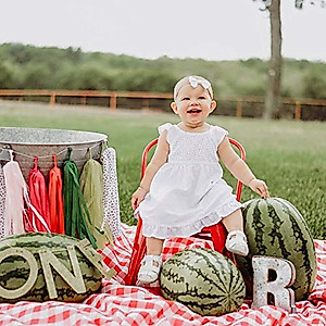 Fonder Mols Watermelon Party Tassel Garland DIY Kit Balloon Tail Tassels Melon Birthday Summer Party Decorations(Pack of 30, Coral Fuchsia Green Pink Polka) A24