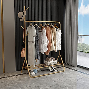 HKaikzo Gold Clothes Rack, Clothing Rack for Hanging Clothes, Boutique Garment Rack with Detachable Storage Shelves and Hat Hooks, for Bedroom Cloakroom (47.3" L)