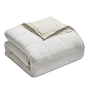 Thesis Home Weighted Blanket with Premium Glass Beads for Kids and Adults- 100% Brushed Microfiber Plush Reversible Sherpa Calming Blanket- 10 lbs - 50 X 60, Ivory