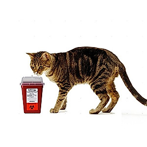 OakRidge Products 1 Quart Size Sharps and Biohazard Disposal Container,