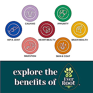 EverRoot Dog Supplement Dog Hip and Joint Supplement Oil with Salmon Oil and Green Lipped Mussel - 16 oz. Bottle