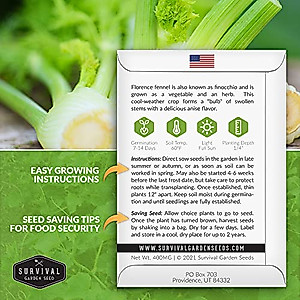 Survival Garden Seeds - Fennel Seed for Planting - Packet with Instructions to Plant and Grow Cool-Weather Florence Fennel (Finnochio) in Your Home Vegetable Garden - Non-GMO Heirloom Variety