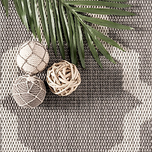 nuLOOM Gina Lattice Indoor/Outdoor Area Rug, 8x11, Gray