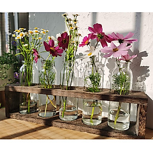 KatoonX Flower Vase Set with Wood Rack Plant Terrariums Kit for Hydroponics Plants Home Garden Wedding Centerpiece Decor (Rustic)