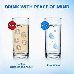 BLUERISE 5 Micron 10"x2.5" Wire Wound Whole House Water Filter Replacement Cartridge - 6 Pack