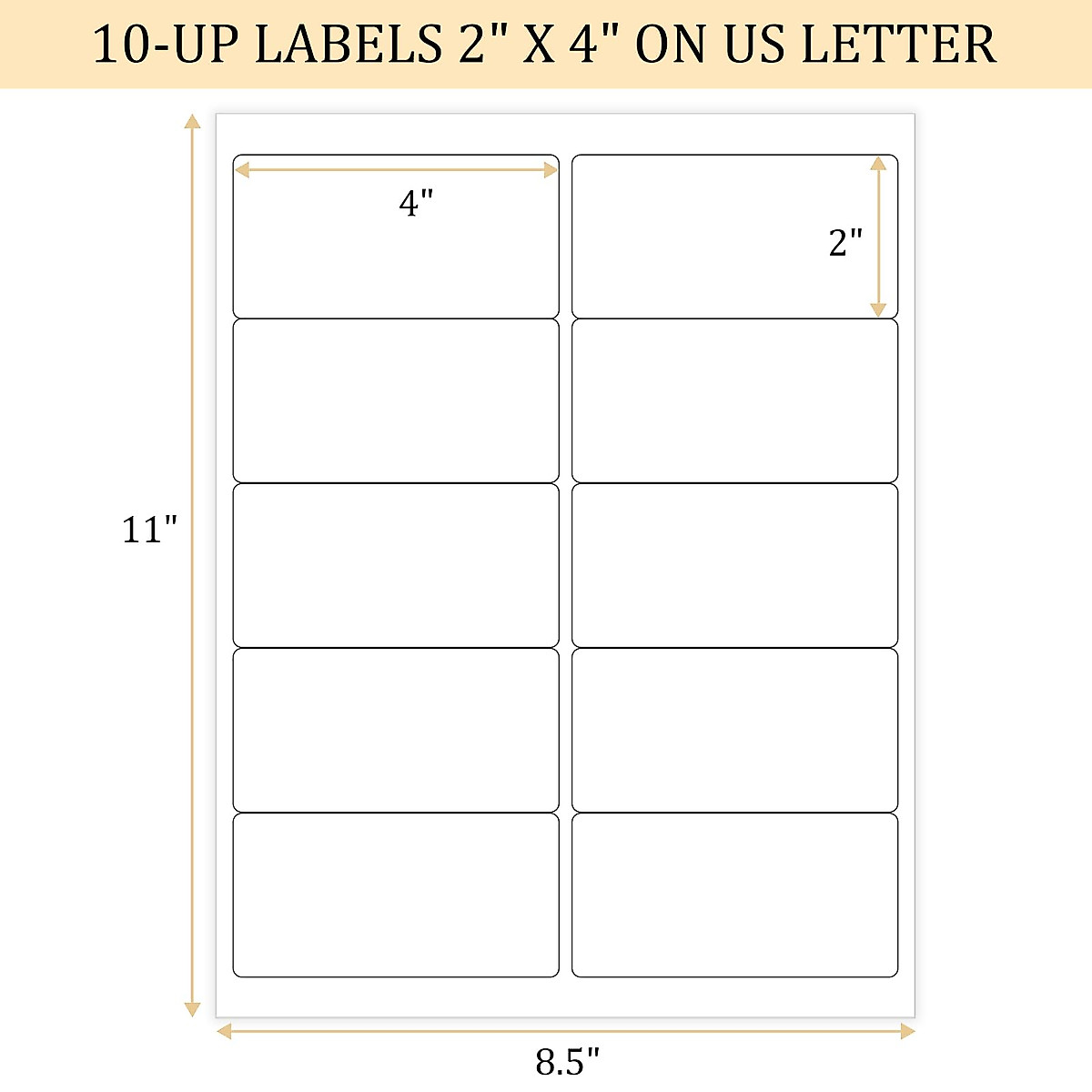 FungLam 2x4 Shipping Address Labels for Laser & Inkjet Printers, 300 Printable White Sticker Labels, 10 per Page Mailing Labels, Permanent Adhesive (30 Sheets, 300 Labels)