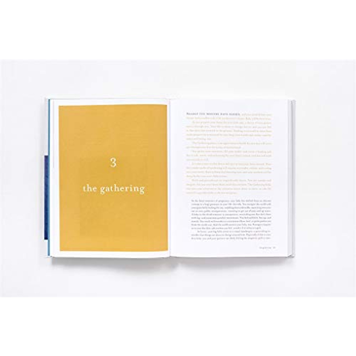 The First Forty Days: The Essential Art of Nourishing the New Mother